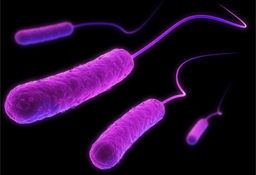 Annual American Functional Medicine Association